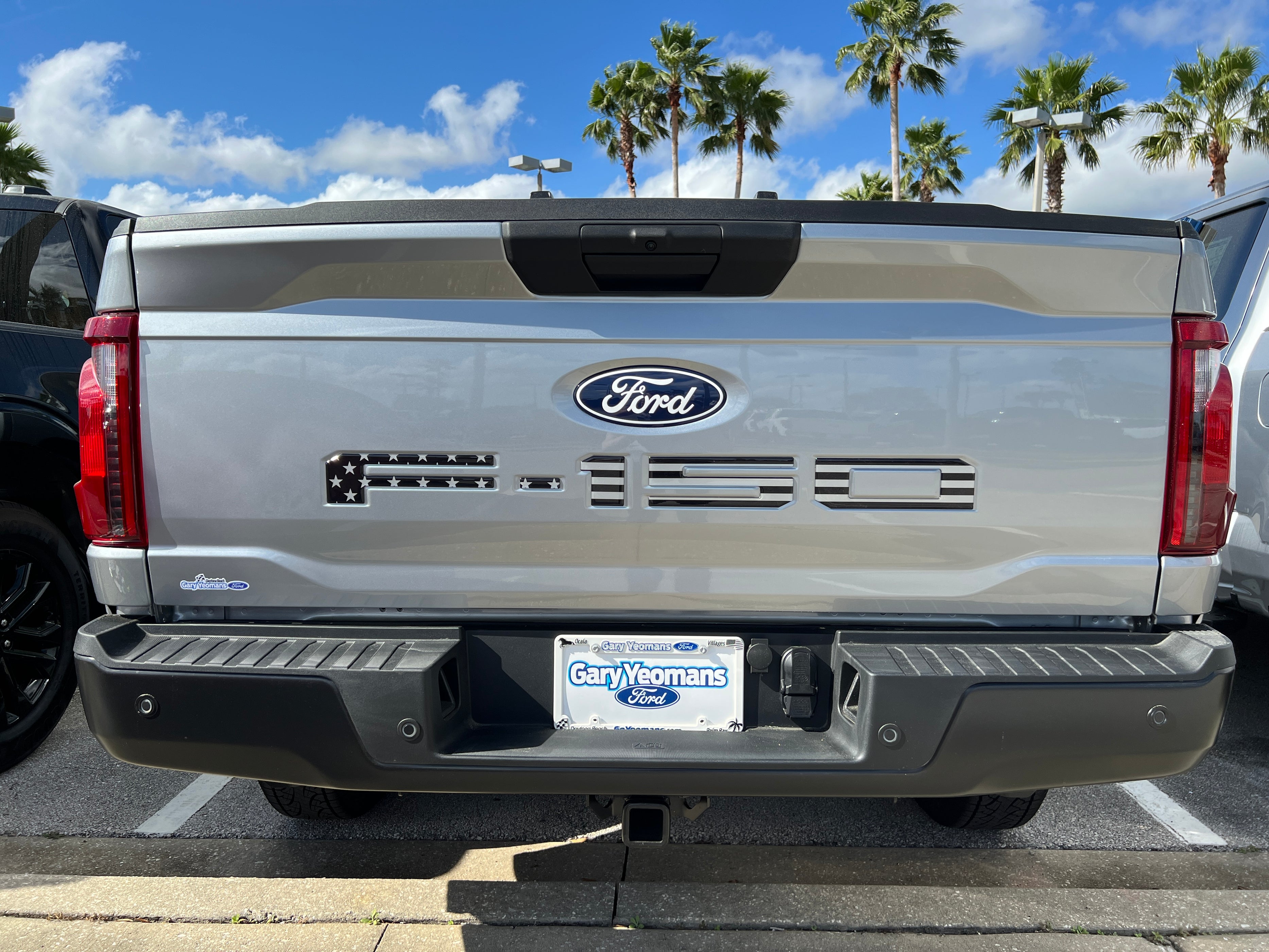 Tailgate Letter Inserts Fits 2021-2026 Ford F-150 — Tufskinz.com