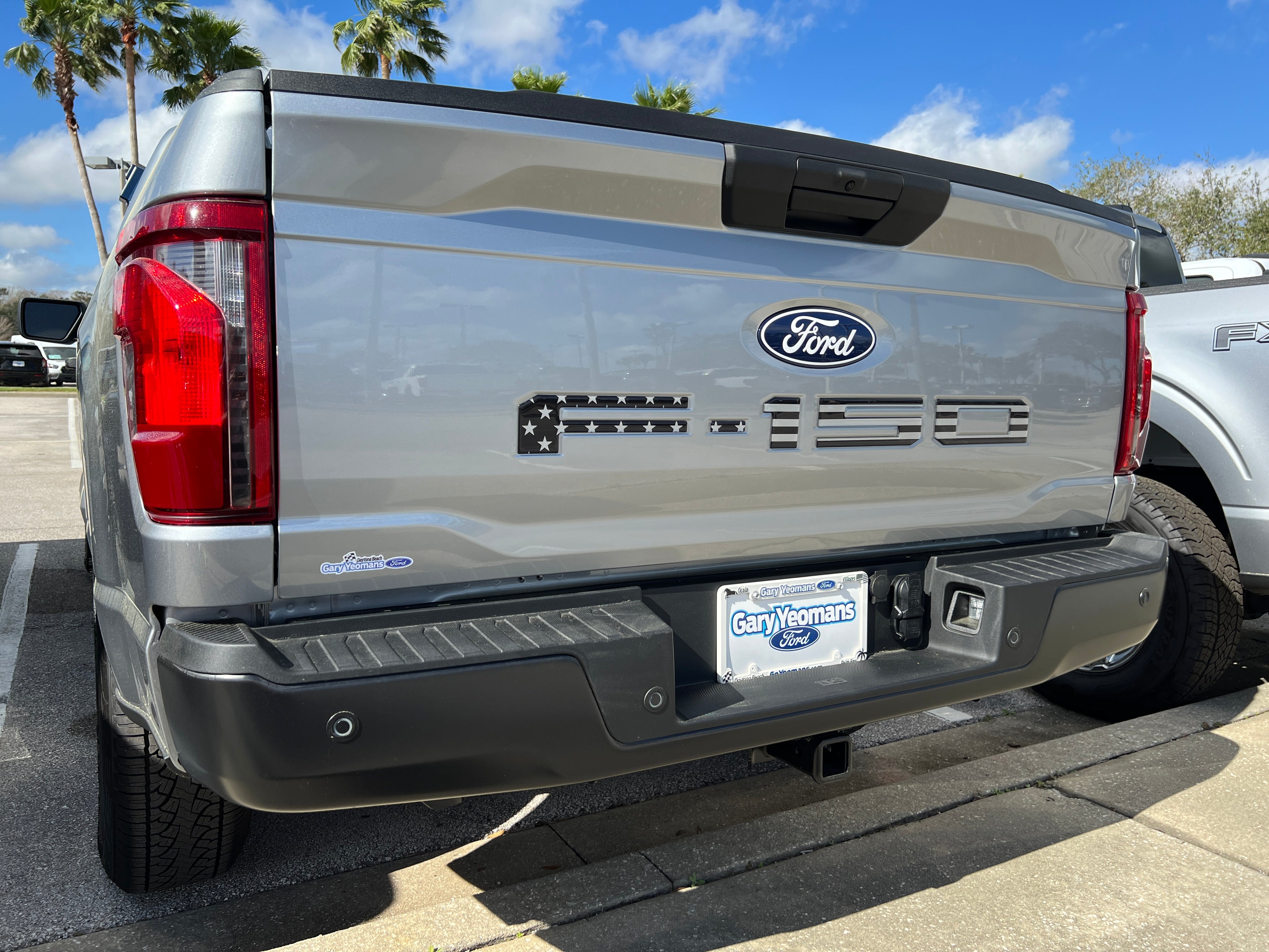 Tailgate Letter Inserts Fits 2021-2026 Ford F-150 — Tufskinz.com