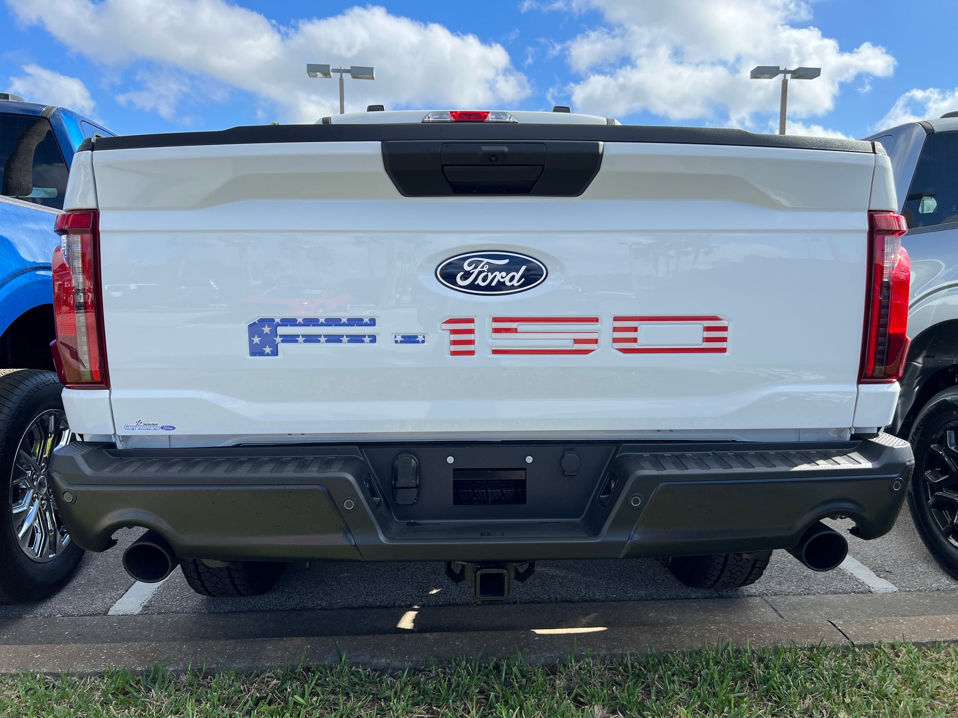 Tailgate Letter Inserts Fits 2021-2026 Ford F-150 — Tufskinz.com