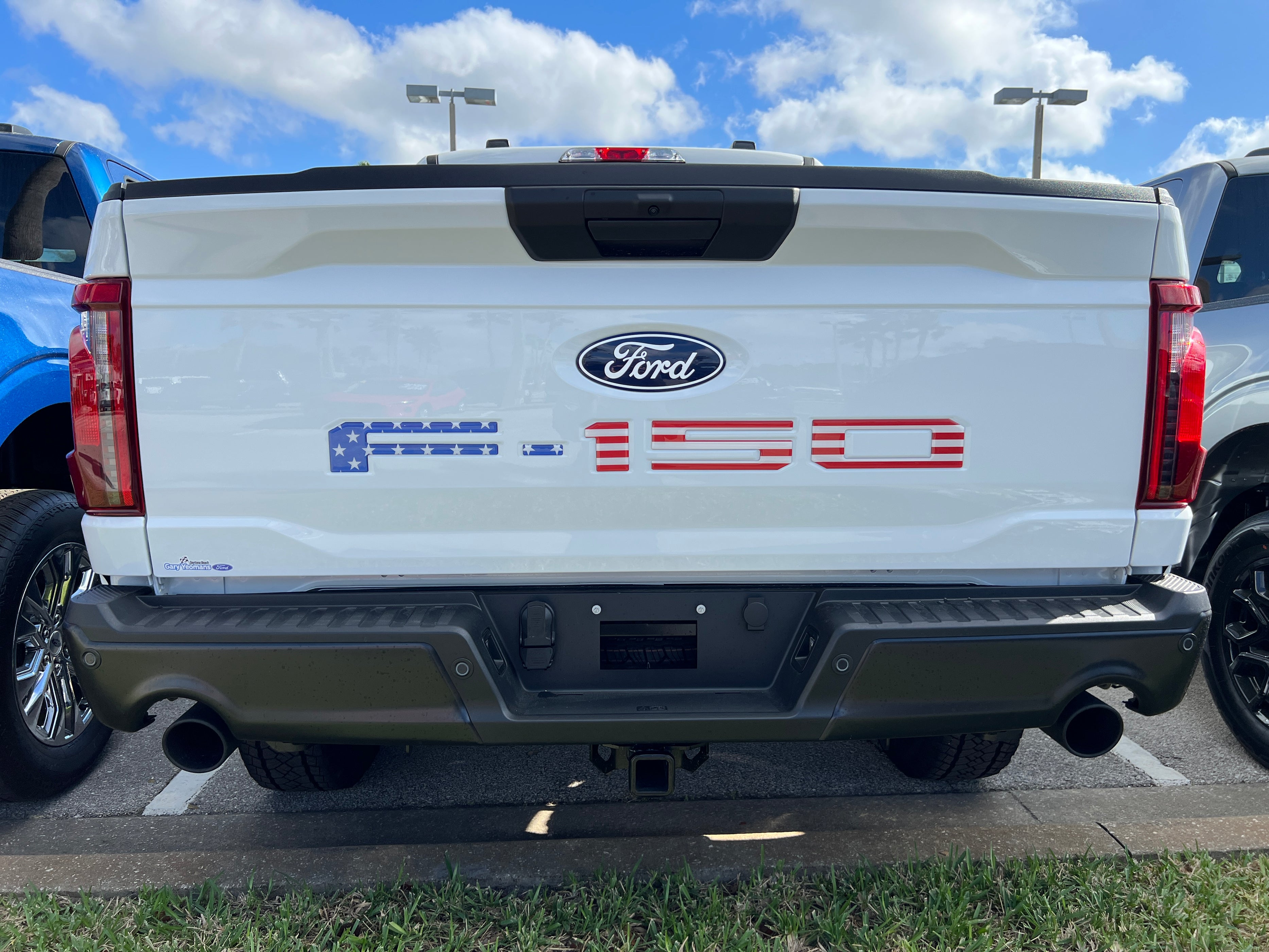 Tailgate Letter Inserts Fits 2021-2026 Ford F-150 — Tufskinz.com