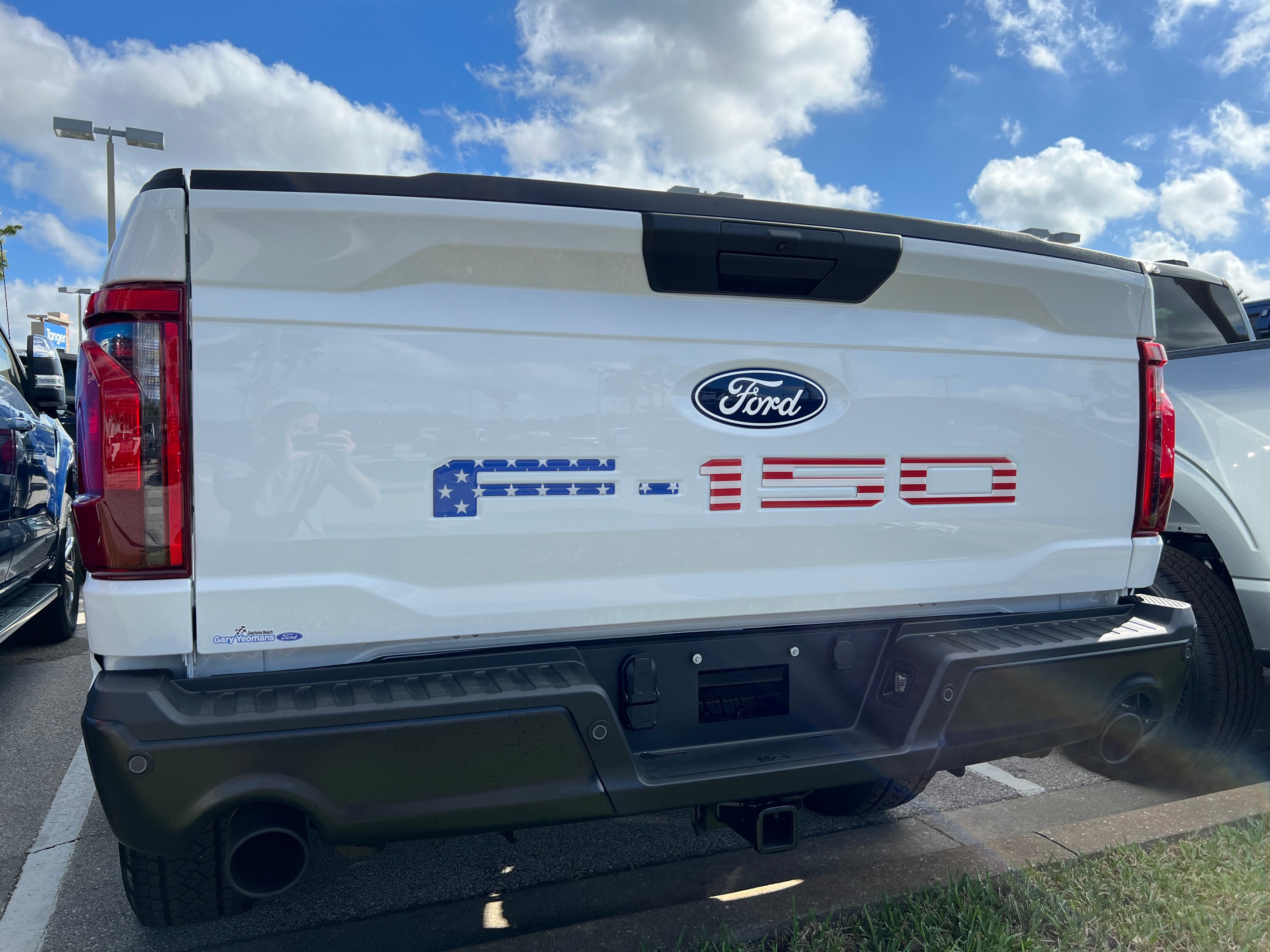 Tailgate Letter Inserts Fits 2021-2026 Ford F-150 — Tufskinz.com