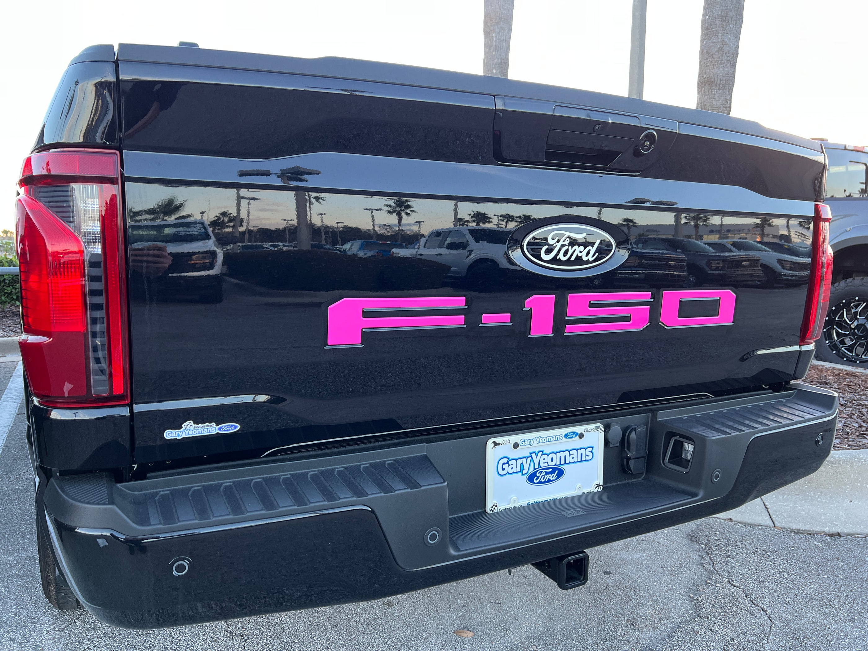 Tailgate Letter Inserts Fits 2021-2025 Ford F-150 — Tufskinz.com