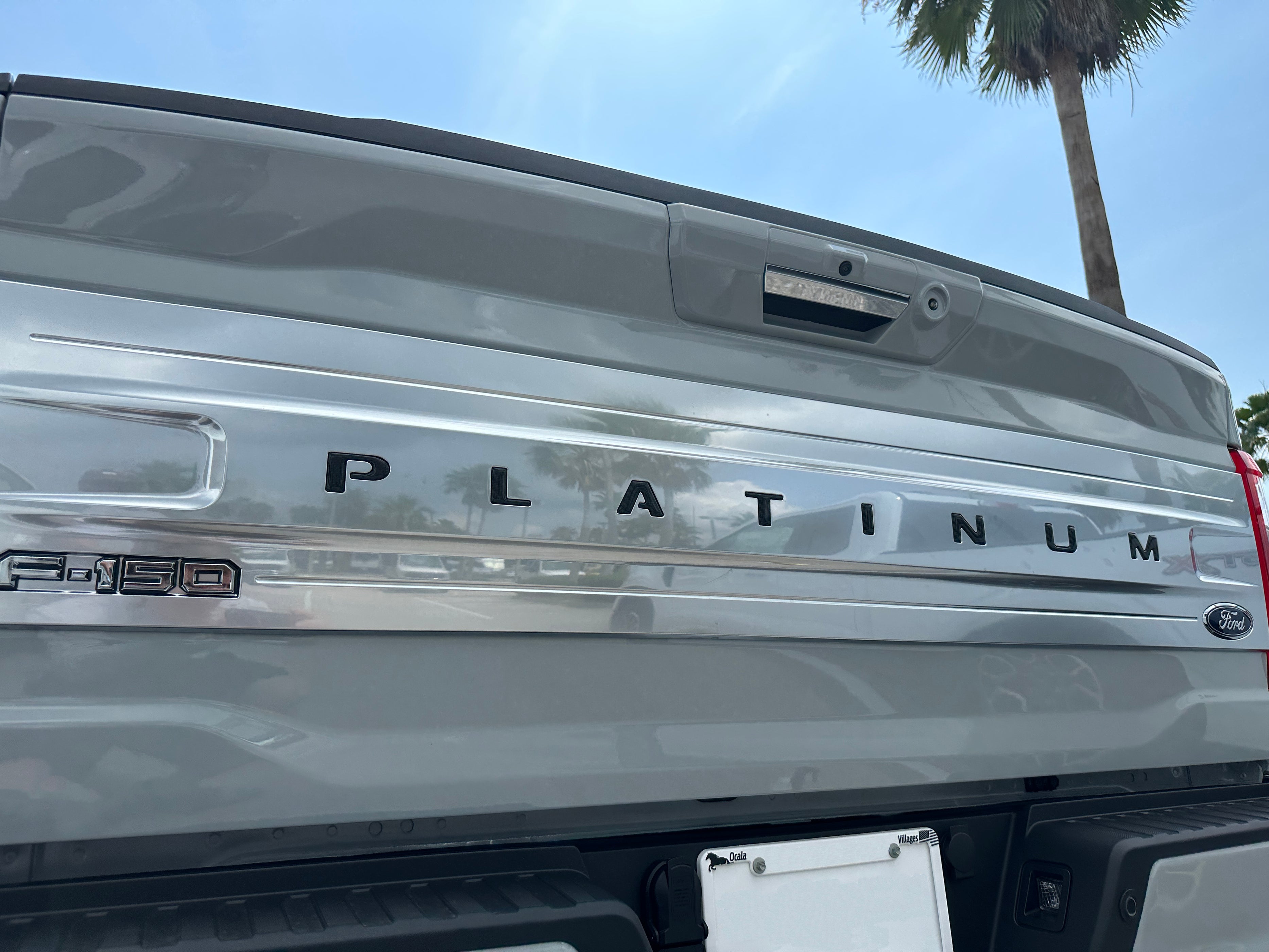 Platinum Tailgate Letter Inserts Fits 2021-2023 Ford F-150 — Tufskinz.com