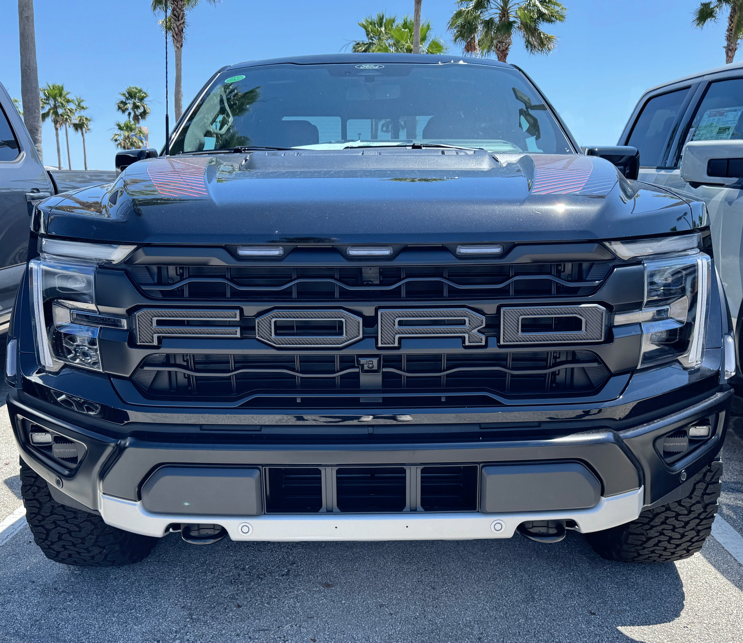 Raptor Front Grille Letters Fits 2021-2026 Ford F-150 Raptor — Tufskinz.com