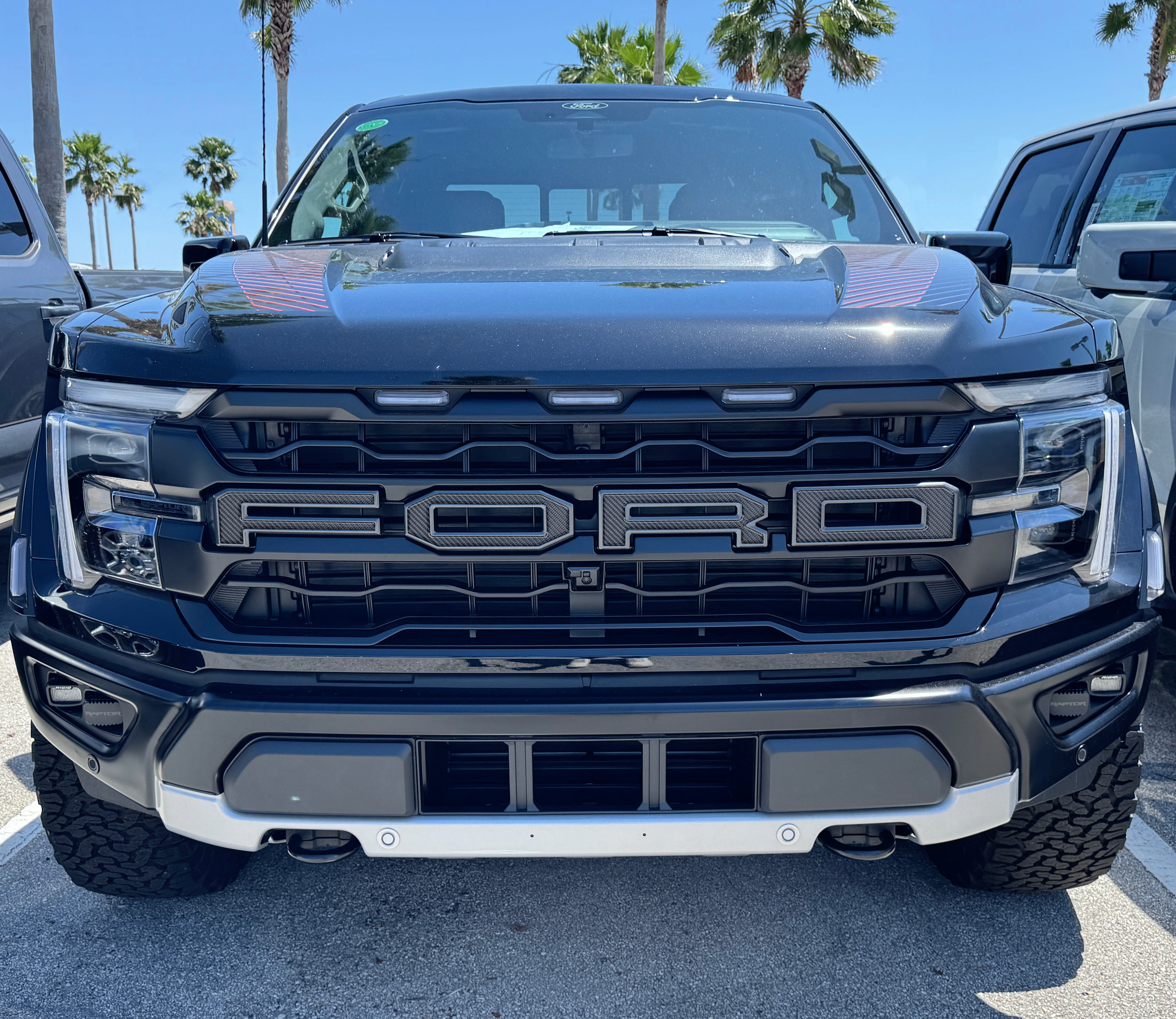 Raptor Front Grille Letters Fits 2021-2026 Ford F-150 Raptor — Tufskinz.com