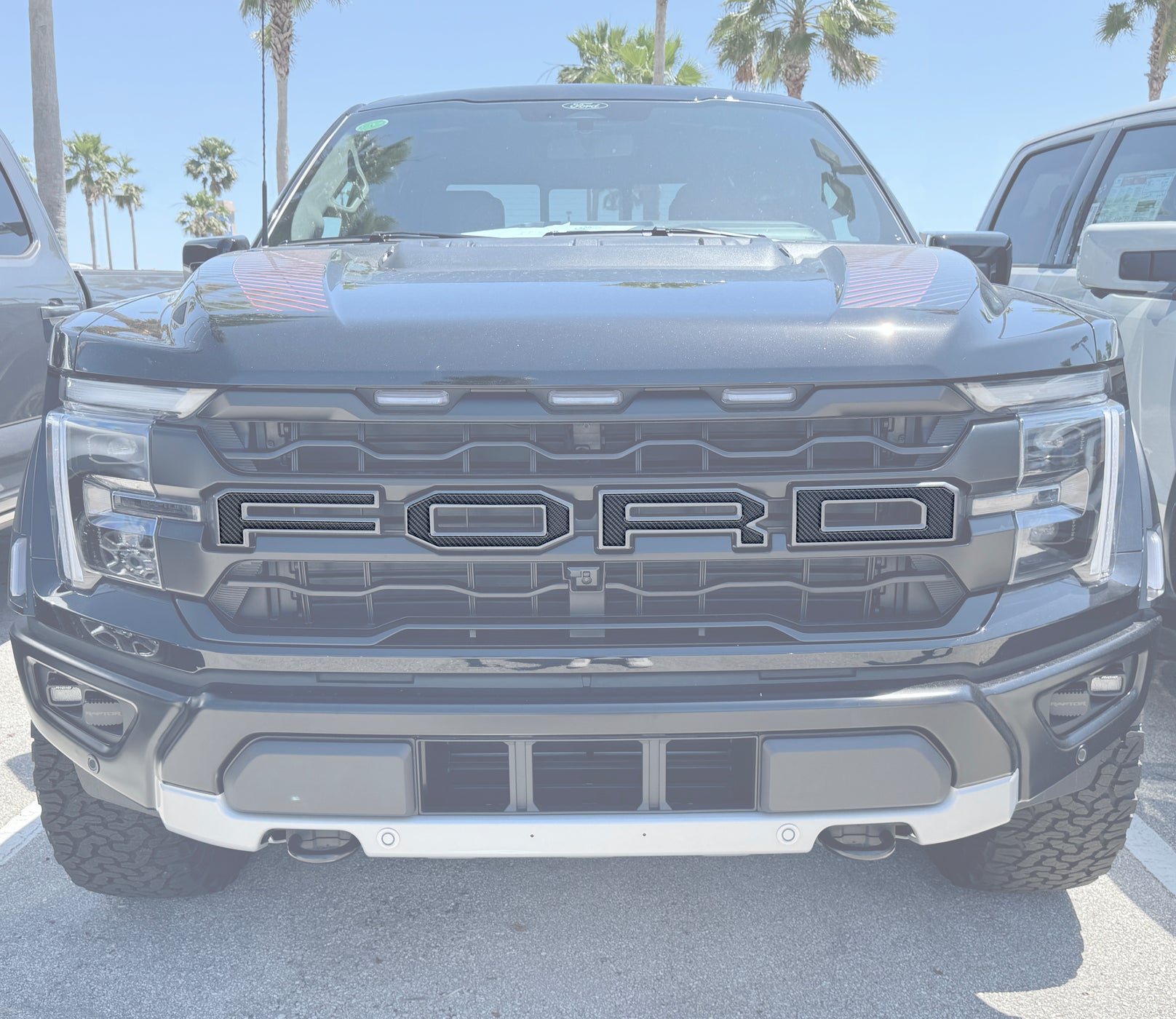 Raptor Front Grille Letters Fits 2021-2026 Ford F-150 Raptor — Tufskinz.com