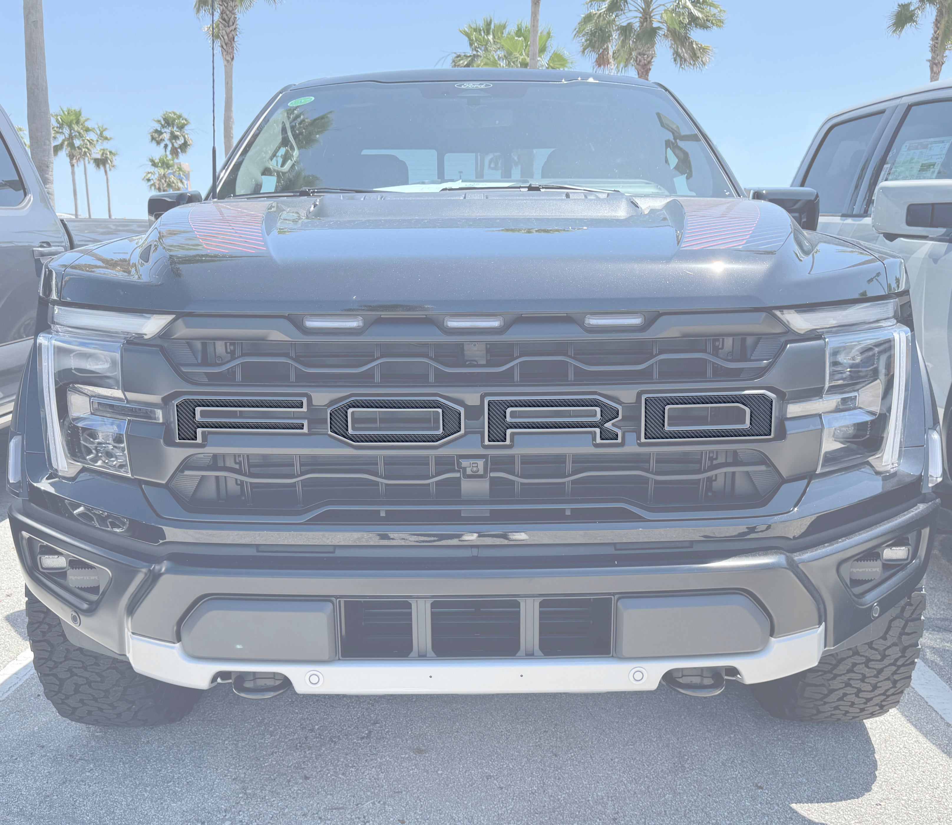 Raptor Front Grille Letters Fits 2021-2026 Ford F-150 Raptor — Tufskinz.com