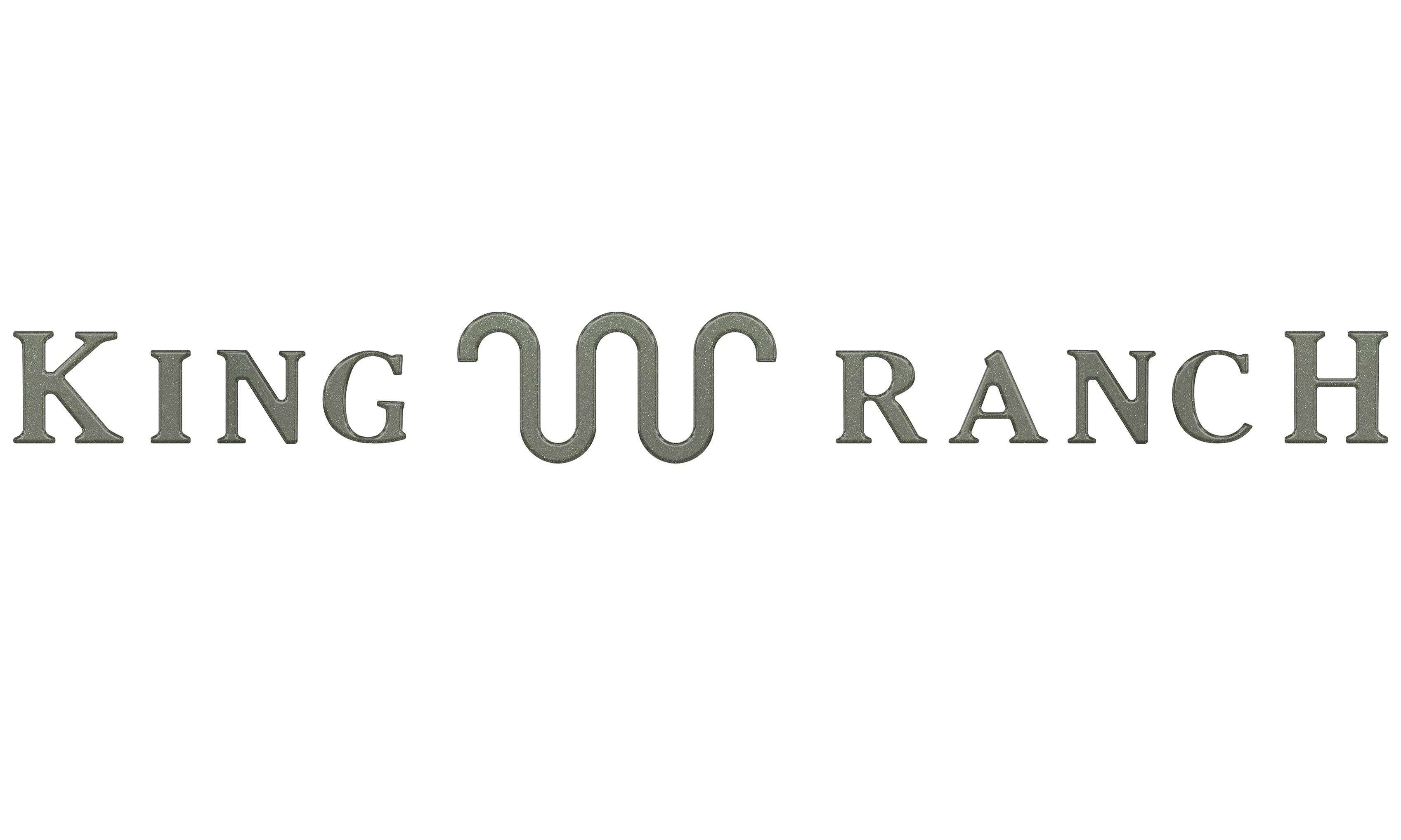 Tailgate Letter Inserts Fits 2023-2026 Ford Super Duty King Ranch ...