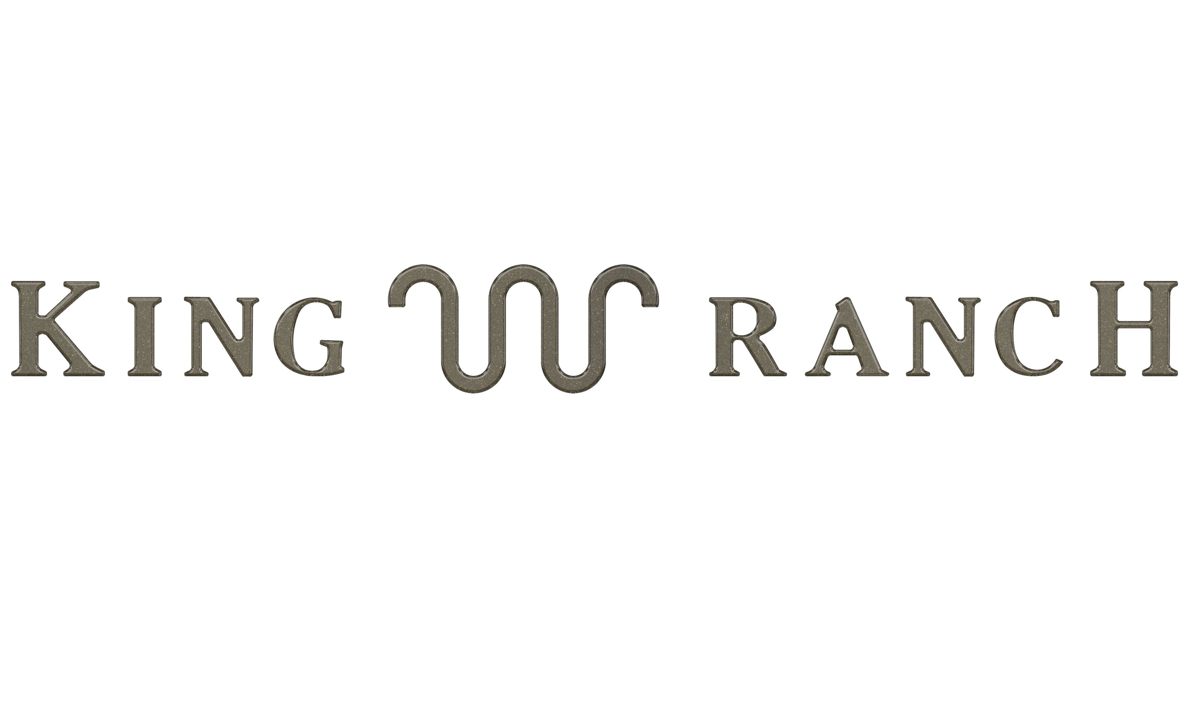 Tailgate Letter Inserts Fits 2023-2026 Ford Super Duty King Ranch ...