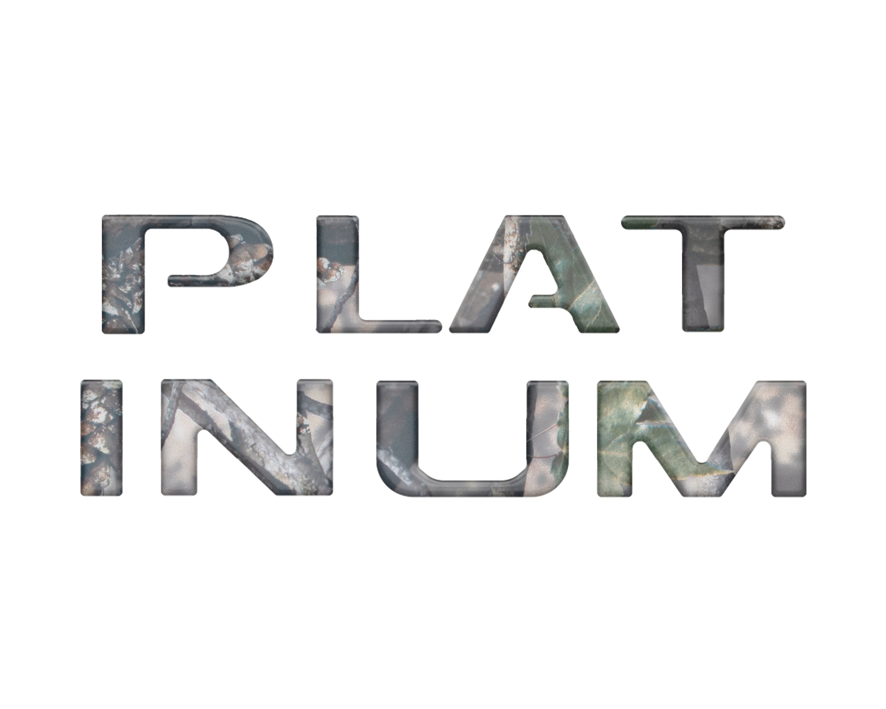 Platinum Tailgate Letter Inserts Fits 2023-2024 Ford Super Duty Platin ...