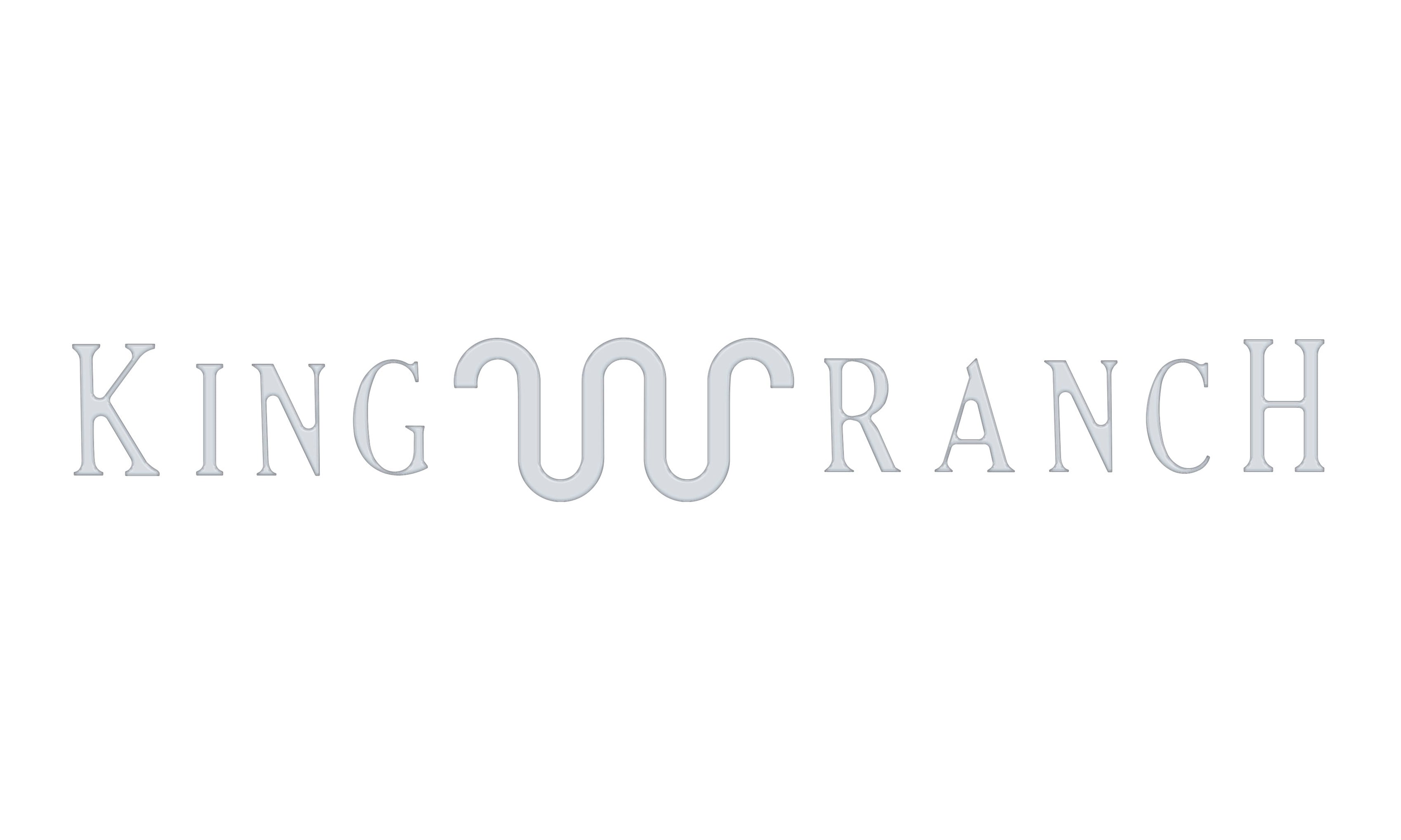 King Ranch Tailgate Letter Inserts Fits 2015-2017 Ford F-150 — Tufskinz.com