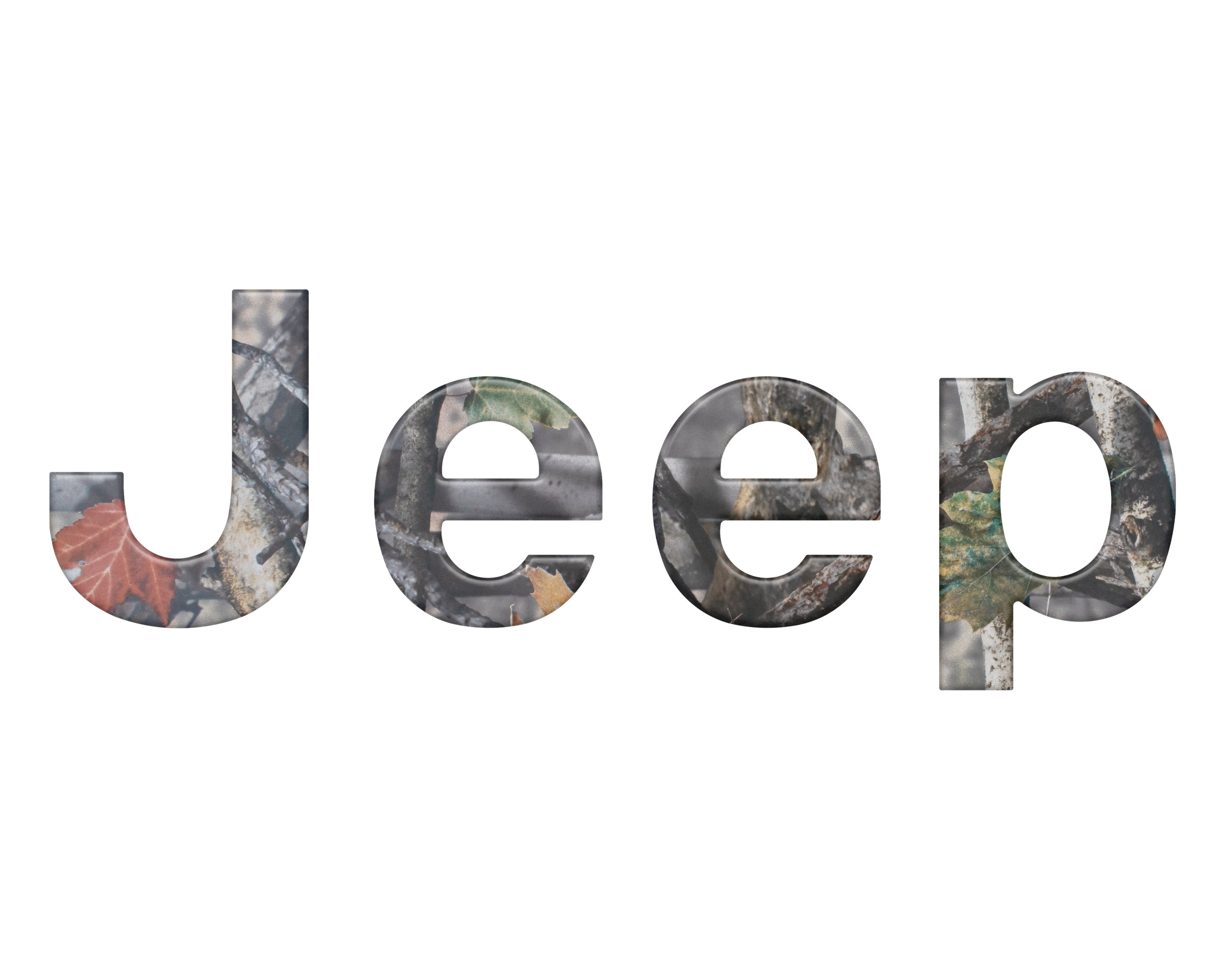 Tailgate Letter Overlays Fits 2019-2026 Jeep Gladiator — Tufskinz.com