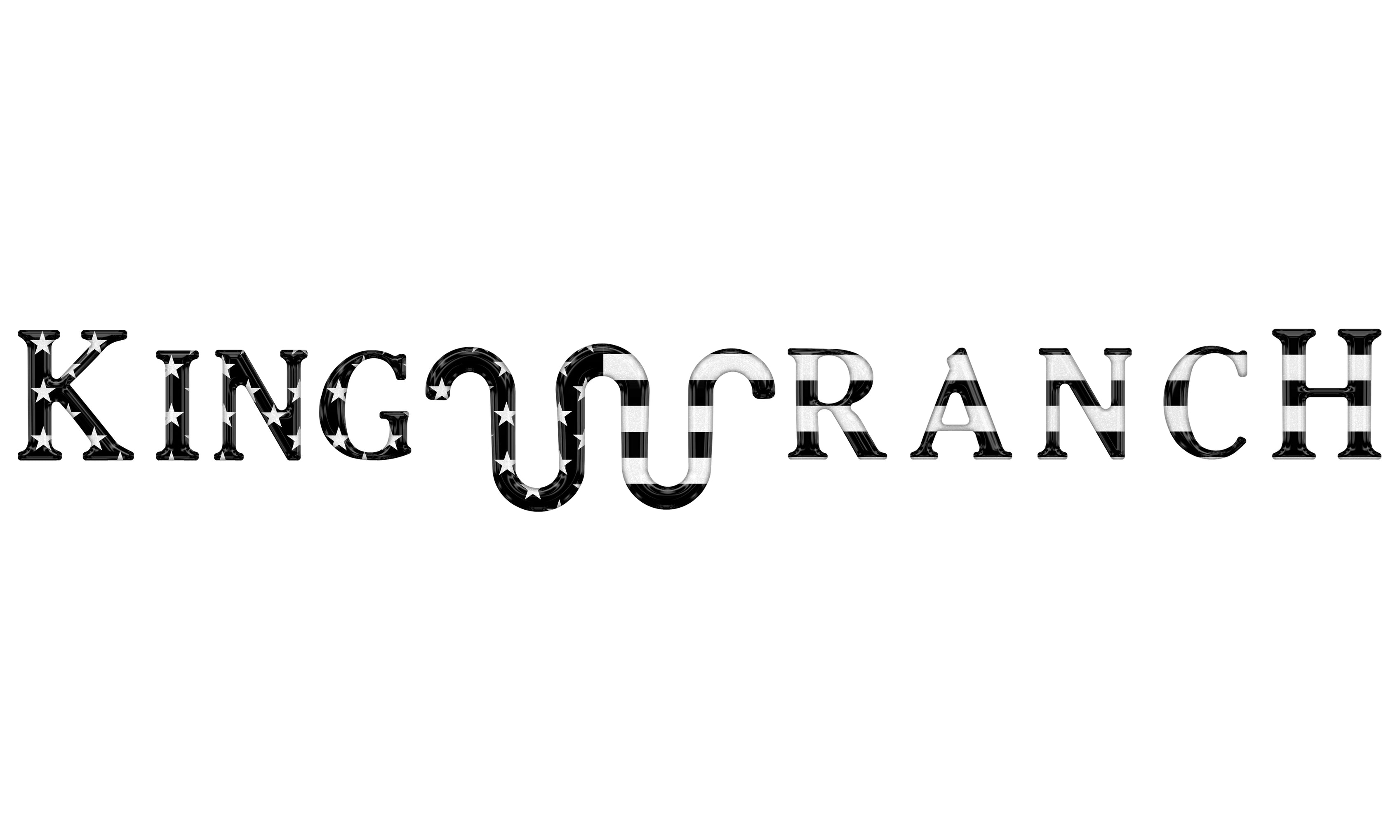 Tailgate Letter Inserts Fits 2020-2022 Ford Super Duty King Ranch ...